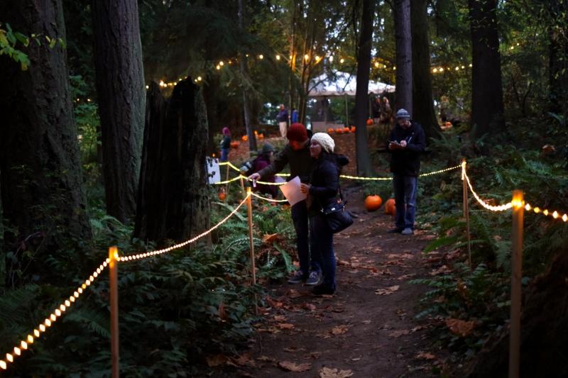 Celebration of Shadows Fall Festival | Seattle Area Family Fun Calendar ...