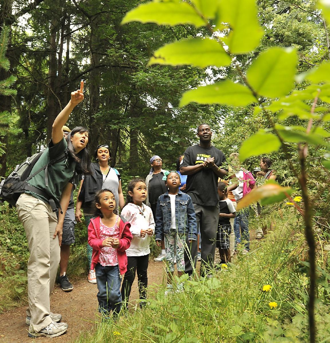 Forest Mindfulness | Seattle Area Family Fun Calendar | ParentMap