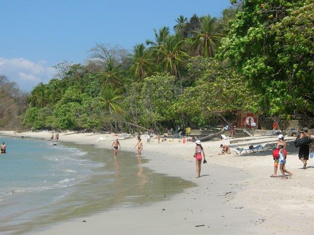 Curious About Costa Rica | Seattle Area Family Fun Calendar | ParentMap