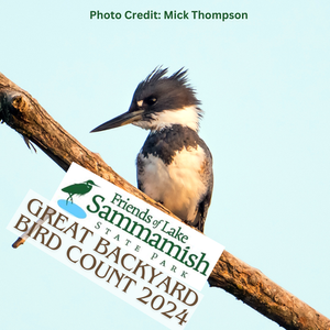 Great Backyard Bird Count | Seattle Area Family Fun Calendar | ParentMap