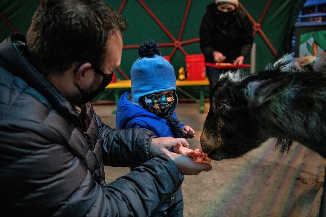 Groovy Goats at PDZA | Seattle Area Family Fun Calendar | ParentMap