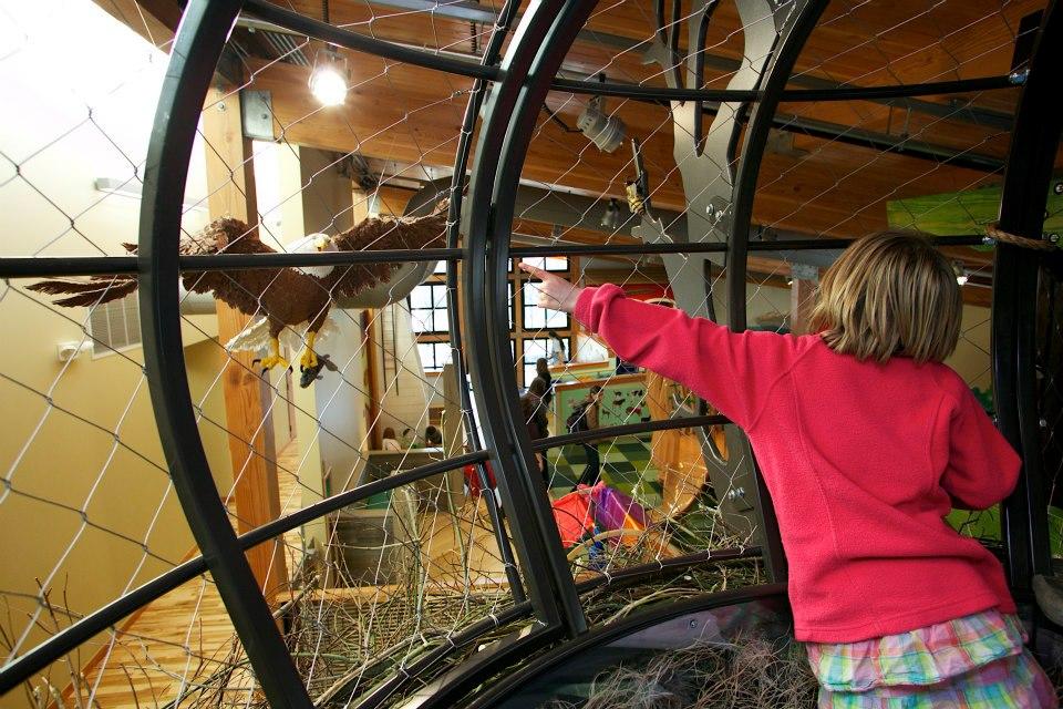 Hands on Children's Museum Now Open | Seattle Area Family Fun Calendar ...