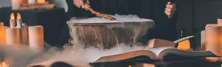 Batty at the Des Moines Library | Seattle Area Family Fun Calendar ...