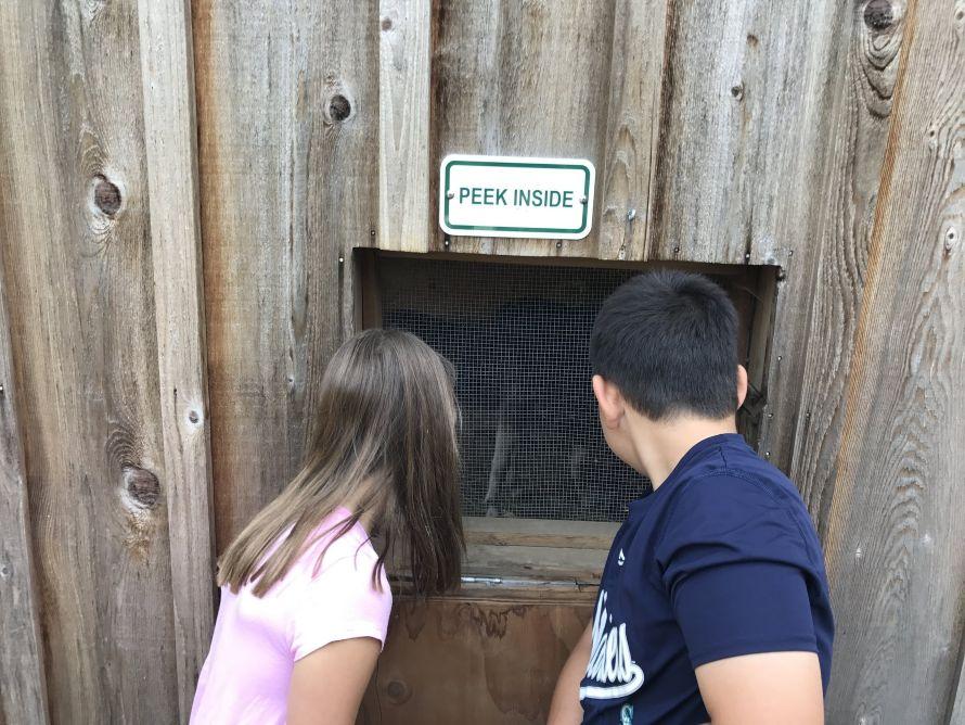 Mary Olson Farm Summer Open Days | Seattle Area Family Fun Calendar ...