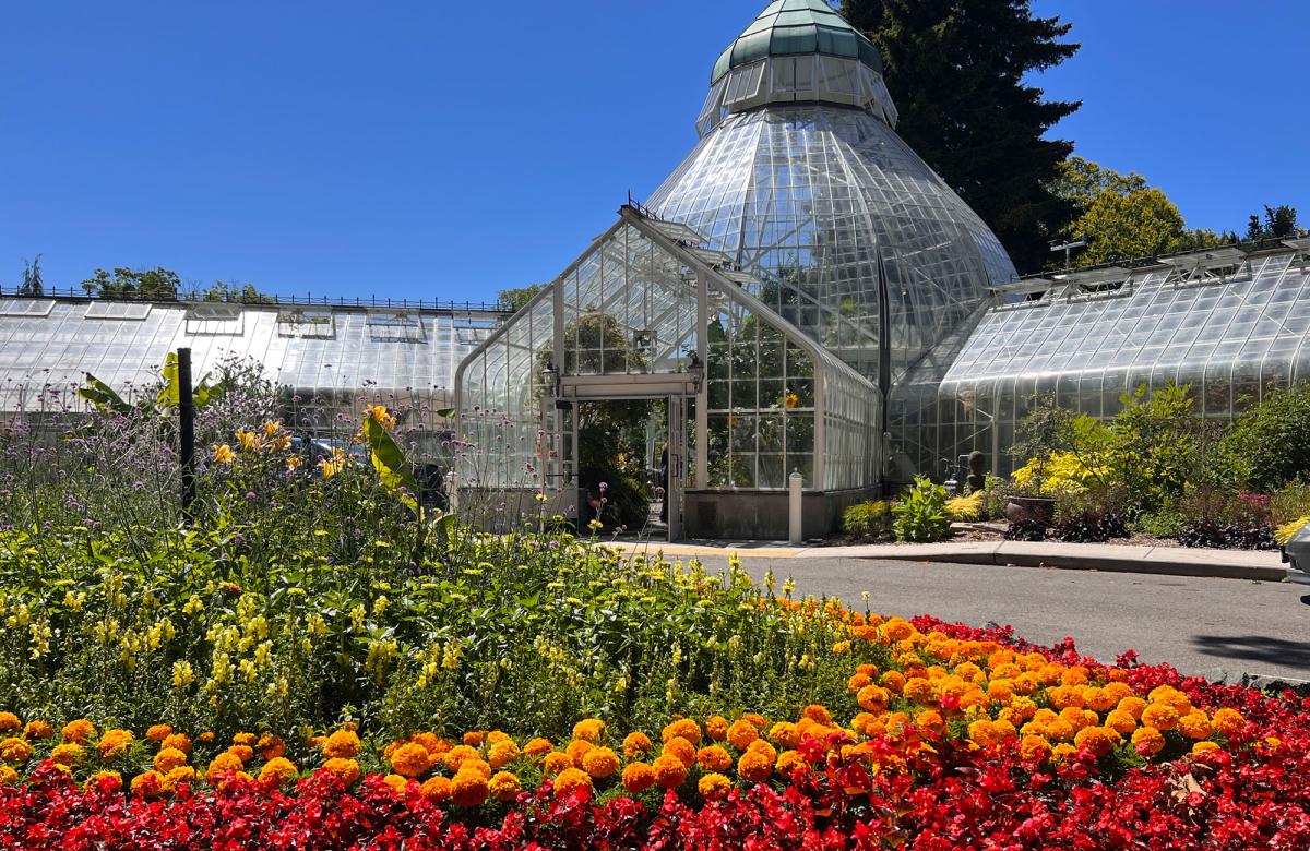 Autumn Flower Show | Seattle Area Family Fun Calendar | ParentMap