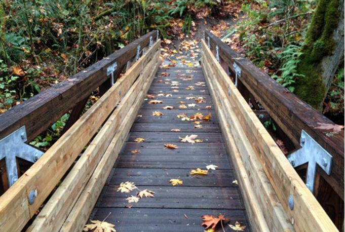 Ranger-led Hike at Lewis Creek Park | Seattle Area Family Fun Calendar ...