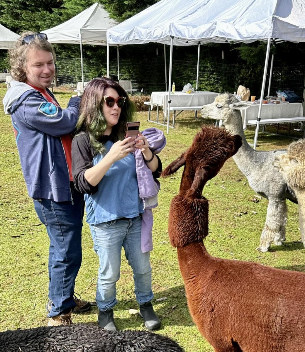 National Alpaca Days at Enchanted Farms | Seattle Area Family Fun ...