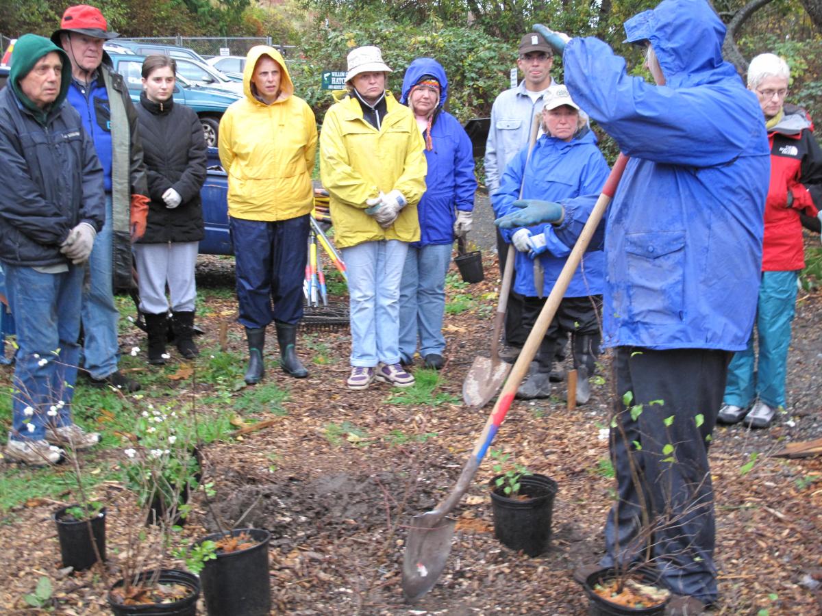 Edmonds Wildlife Habitat Native Plant Demo Garden Work Party | Seattle ...