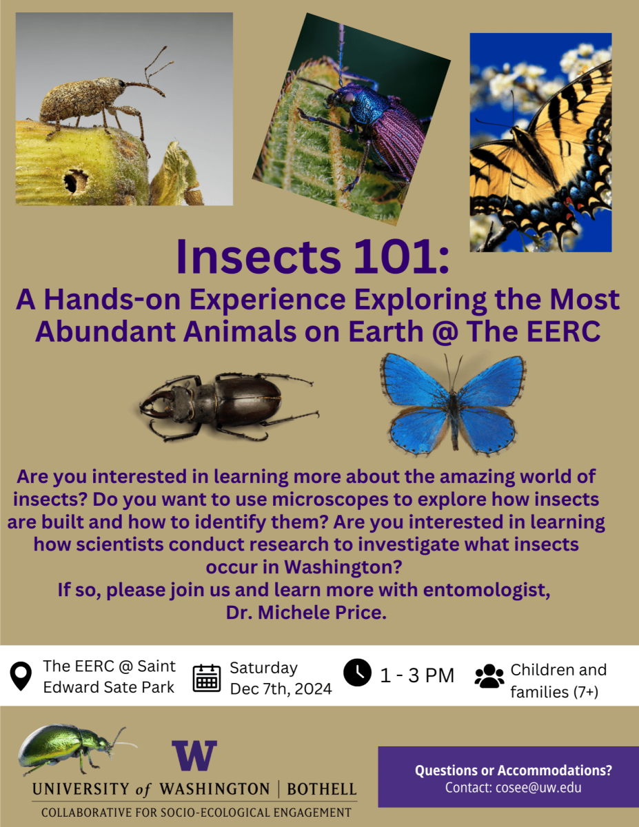 Insects 101: A hands-on experience exploring the most abundant animals ...