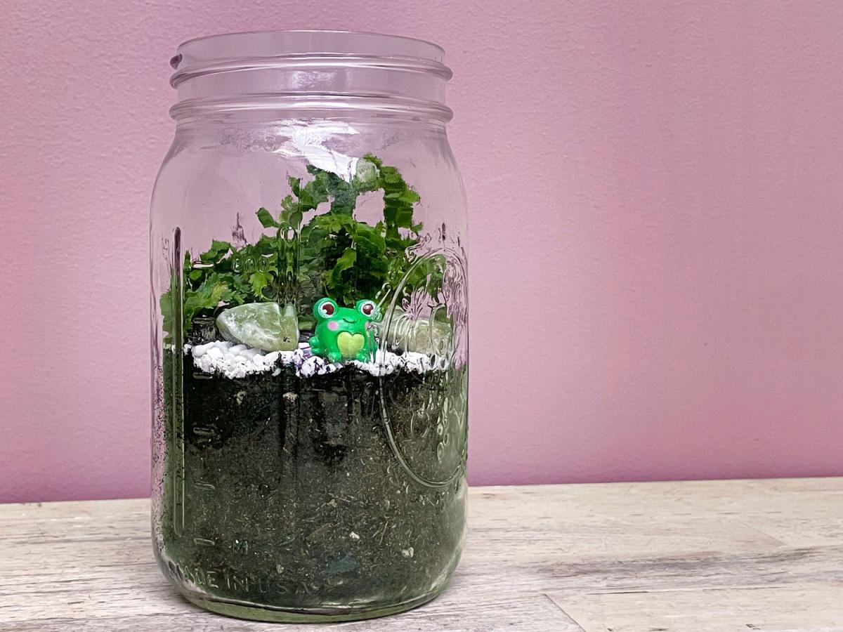 Kids Activity: Create a Tropical Terrarium | Seattle Area Family Fun ...