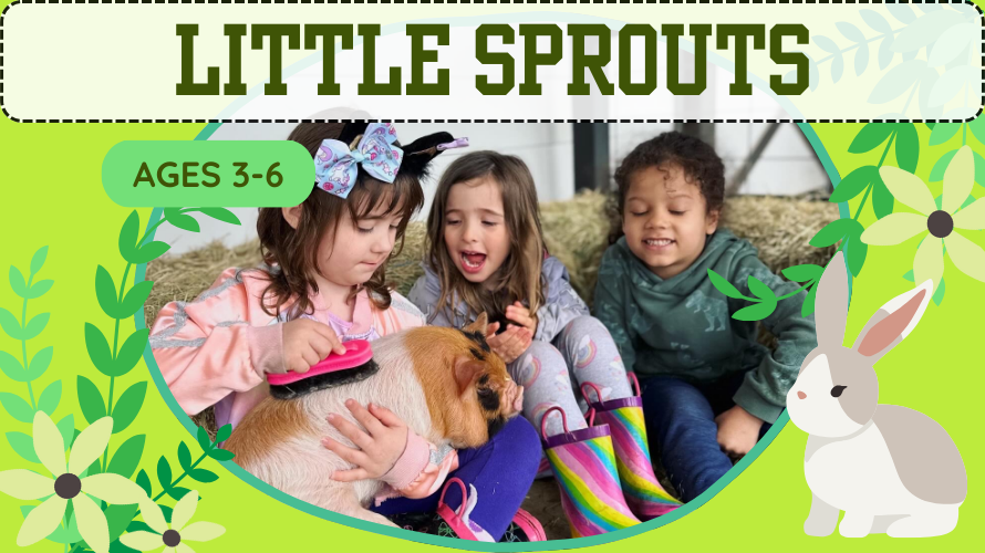 Little Sprouts Outdoor Farm & Forest School for Ages 3-6 Drop-in ...