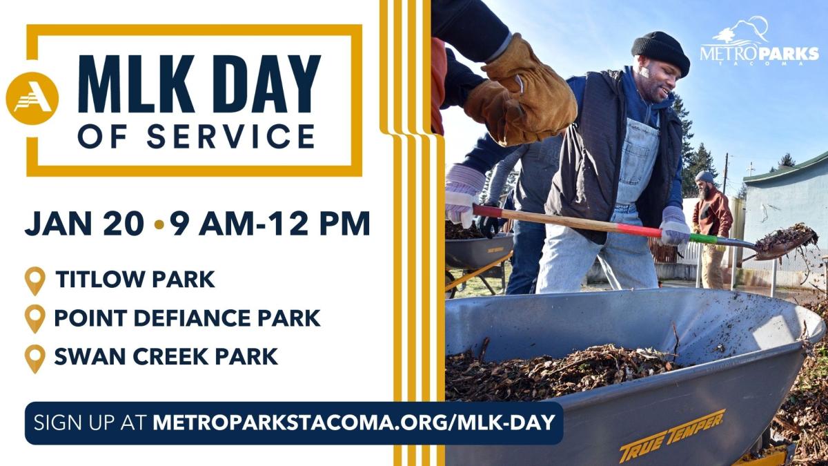 MLK Day of Service | Seattle Area Family Fun Calendar | ParentMap