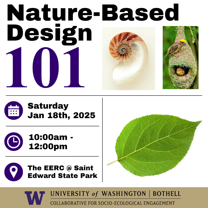 Nature-Based Design 101: Explore with UW Faculty at Saint Edward Park ...