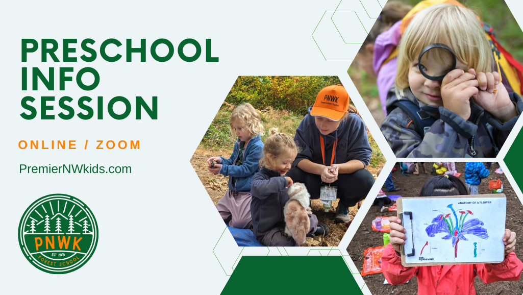 Virtual: Forest Preschool Info Session (PreK & Jr. Rangers) | Seattle ...