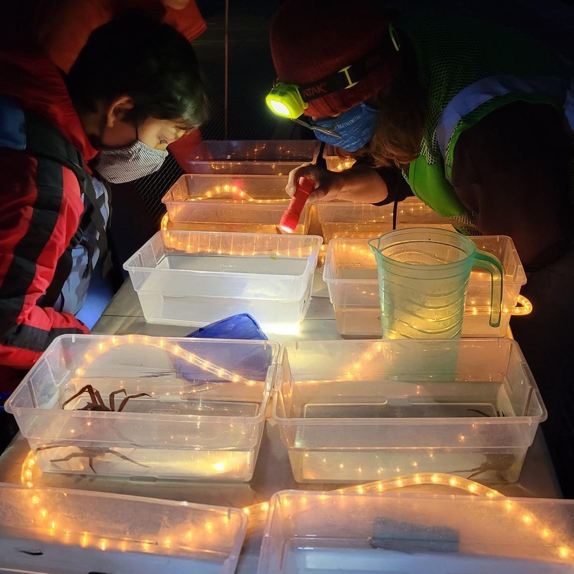 Pier Peer at Boston Harbor Marina | Seattle Area Family Fun Calendar ...
