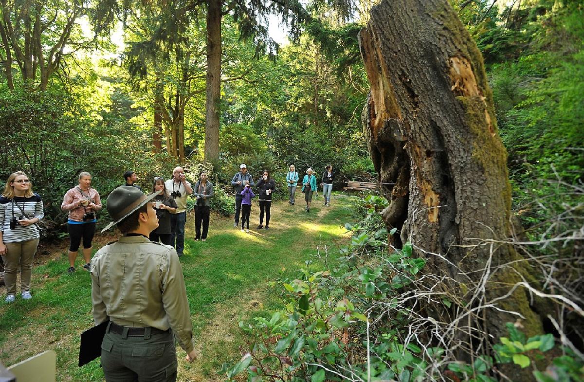 Ranger-Led Nature Walk | Seattle Area Family Fun Calendar | ParentMap