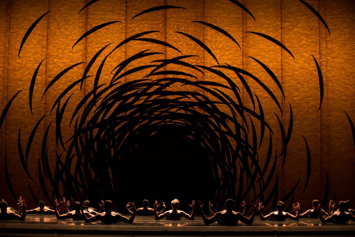 Pacific NW Ballet Presents ‘Emergence’ | Seattle Area Family Fun ...