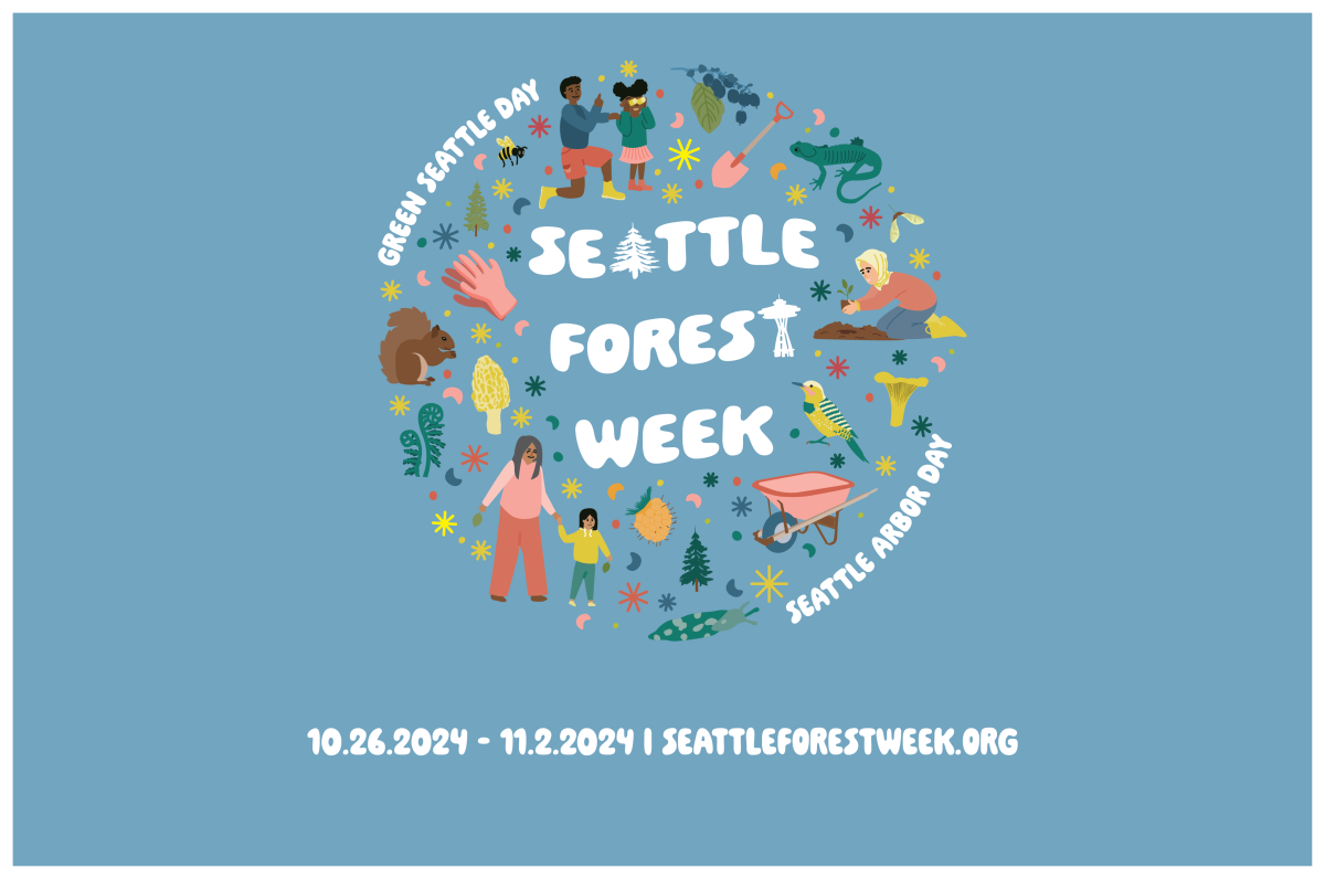 Seattle Forest Week at Discovery Park Visitor Center | Seattle Area ...
