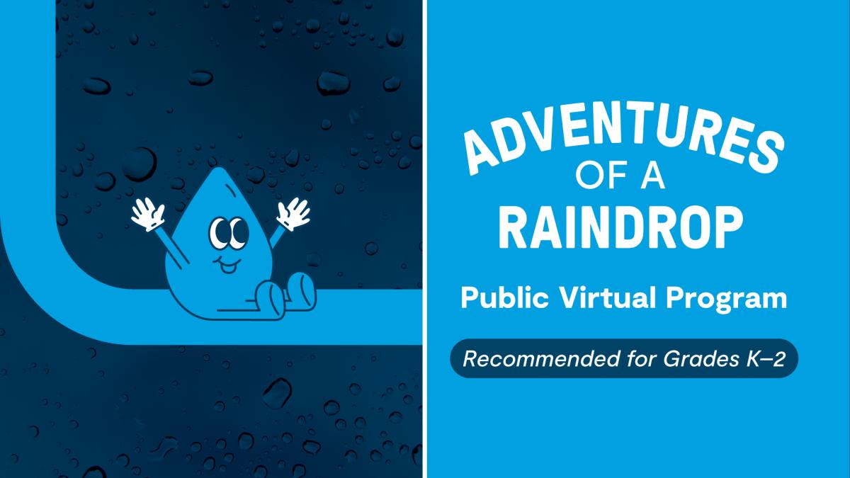 Virtual: Adventures of a Raindrop | Seattle Area Family Fun Calendar ...