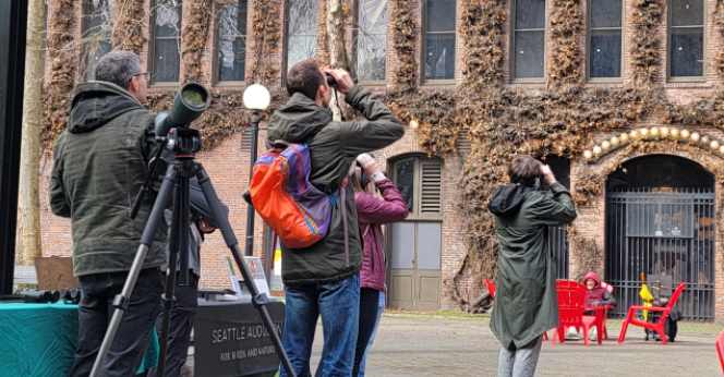 A Closer Look at City Birds with Seattle Audubon | Seattle Area Family ...
