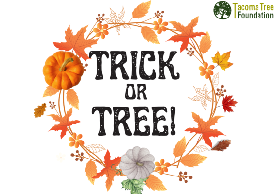 Trick or Tree | Seattle Area Family Fun Calendar | ParentMap