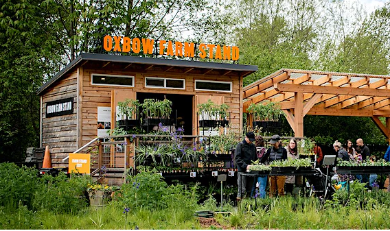 Oxbow Earth Day Open House | Seattle Area Family Fun Calendar | ParentMap