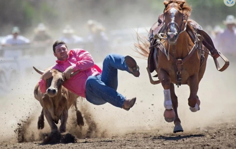 Enumclaw Pro Rodeo | Seattle Area Family Fun Calendar | ParentMap