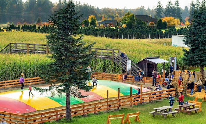 Hunter Family Farm Pumpkin Patch | Seattle Area Family Fun Calendar ...