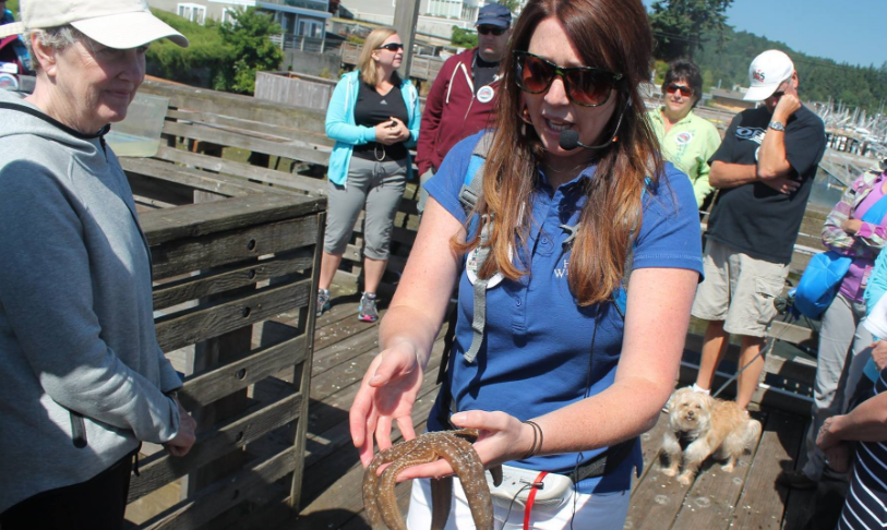 Dock Walk | Seattle Area Family Fun Calendar | ParentMap