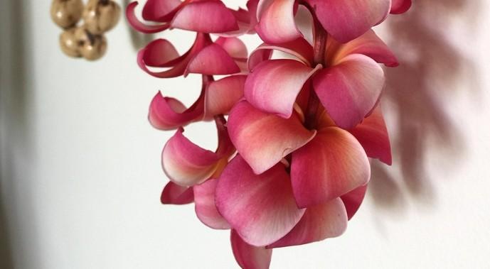 AAPI Month Paper Flower Leis | Seattle Area Family Fun Calendar | ParentMap