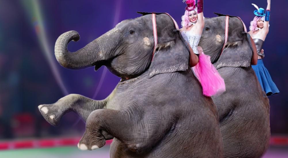Jordan World Glow Circus | Seattle Area Family Fun Calendar | ParentMap