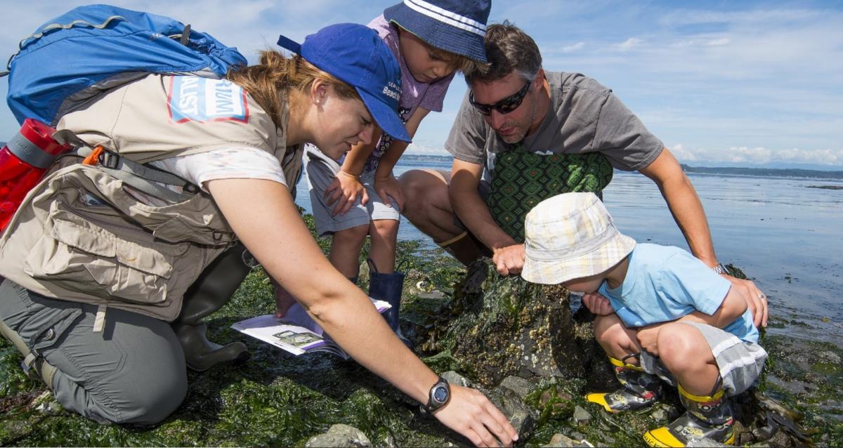 Seattle Aquarium Beach Naturalist at Carkeek Park | Seattle Area Family ...