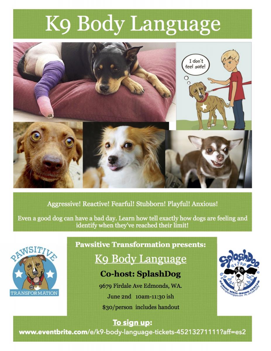 K9 Body Language | Seattle Area Family Fun Calendar | ParentMap