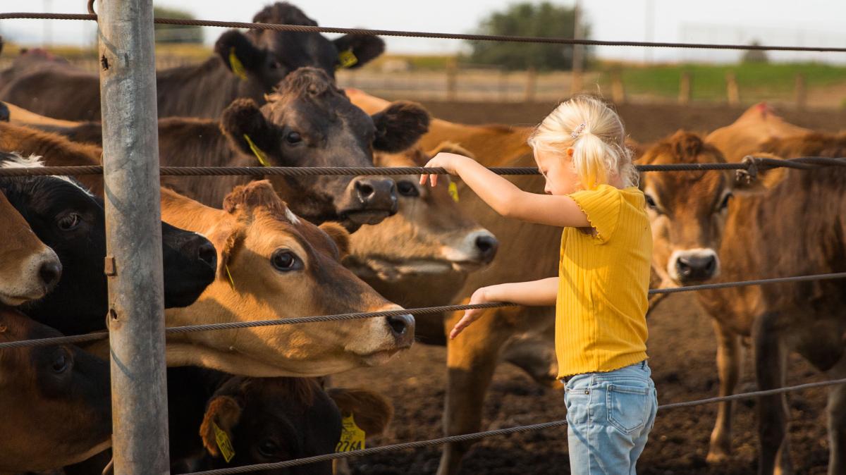 Whatcom This Whey: Dairy Farm, Creamery & Cheesemaking Tours | Seattle ...