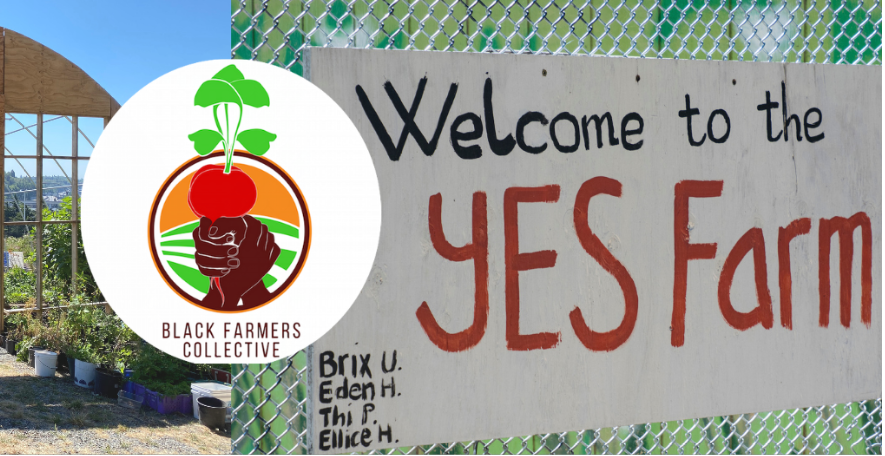 The Power of Community Gardens Tour with the Black Farmers Collective ...
