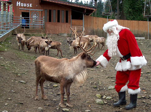 Issaquah Reindeer Festival | Seattle Area Family Fun Calendar | ParentMap