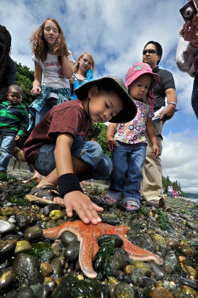Explore the Shore | Seattle Area Family Fun Calendar | ParentMap