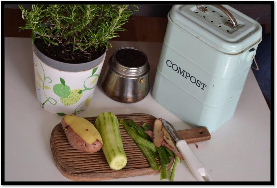 Sustainable Seeds: Nurturing Change at the Redmond Library | Seattle ...