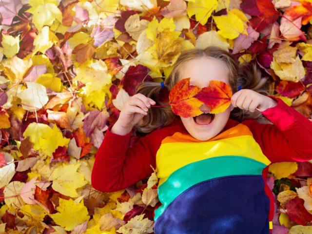 Fall Fun Days at Westlake Park | Seattle Area Family Fun Calendar ...