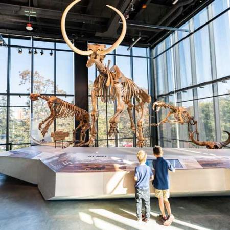 Fossil Finders: Ice Ages | Seattle Area Family Fun Calendar | ParentMap