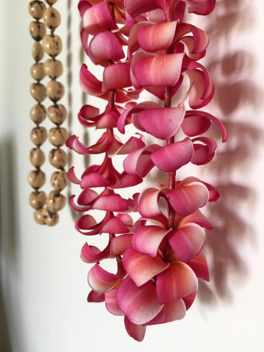 Family Lei Making Workshop | Seattle Area Family Fun Calendar | ParentMap