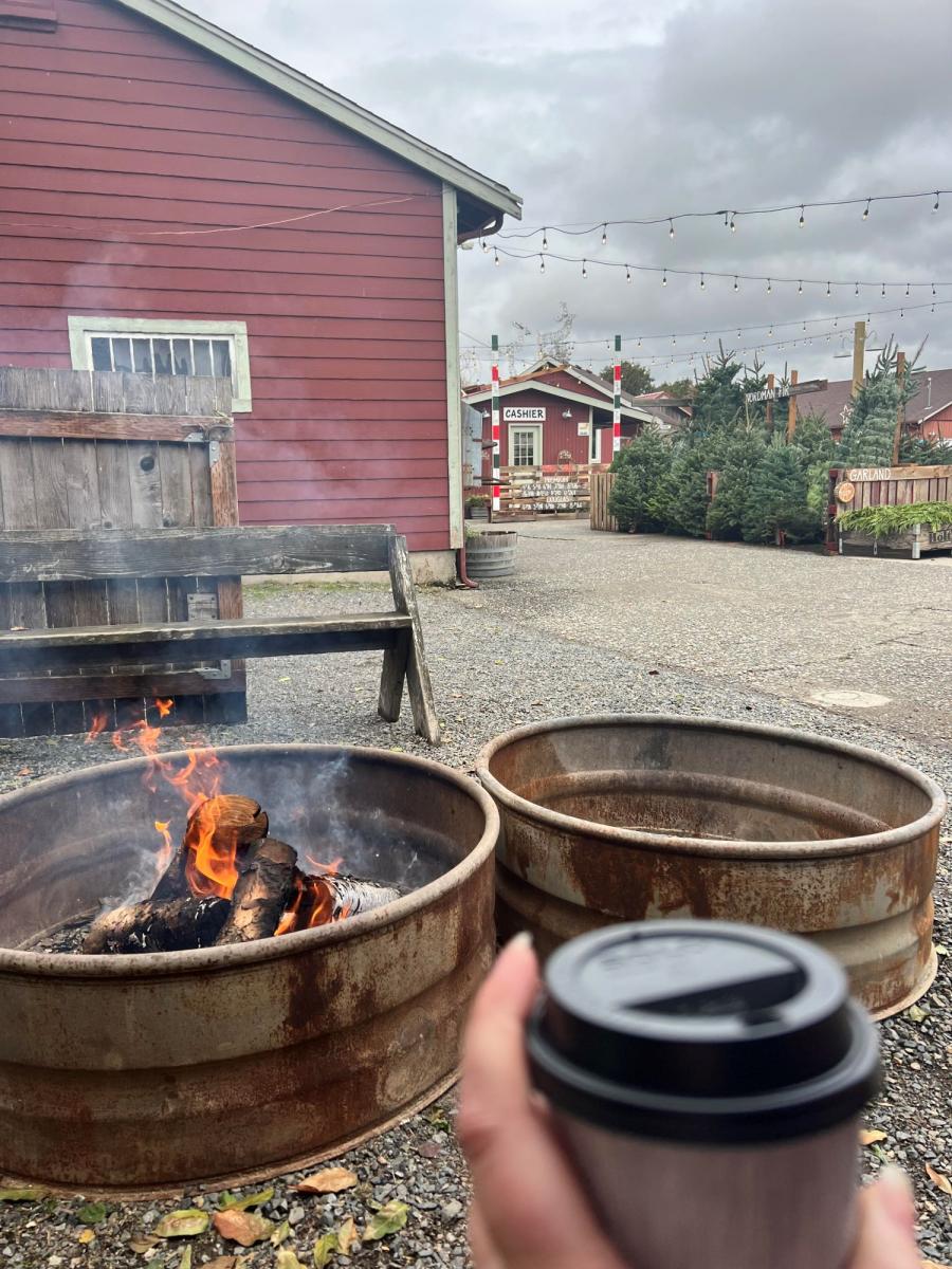 Christmas at Craven Farm | Seattle Area Family Fun Calendar | ParentMap