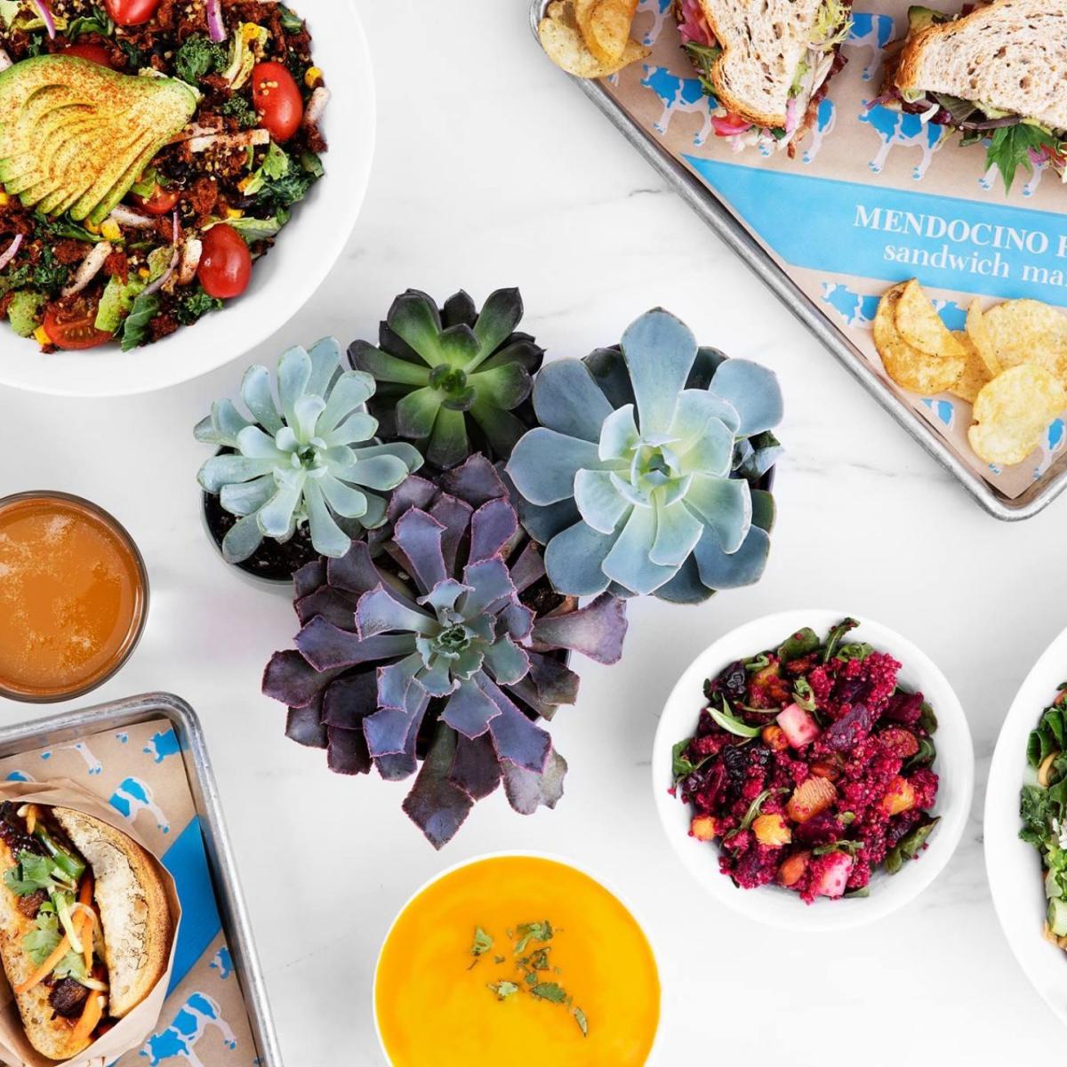 Mendocino Farms Grand Opening | Seattle Area Family Fun Calendar ...