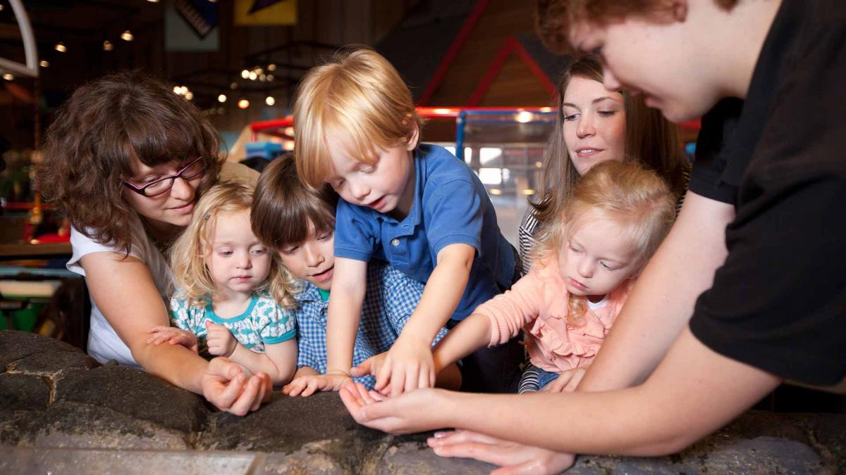 Play Lab: Topsy Turvy Thinking | Seattle Area Family Fun Calendar ...