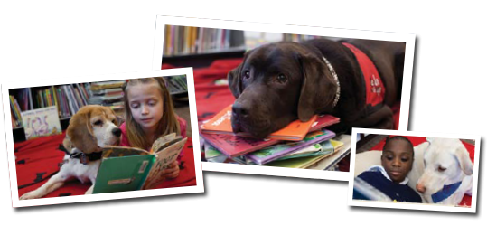 Reading With Rover at Redmond Town Center | Seattle Area Family Fun ...