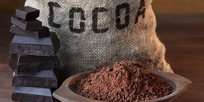 The Science of Chocolate | Seattle Area Family Fun Calendar | ParentMap