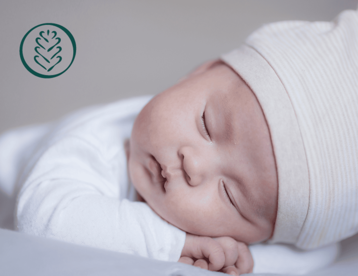 Ask an Expert: Newborn/Toddler Sleep | Seattle Area Family Fun Calendar | ParentMap