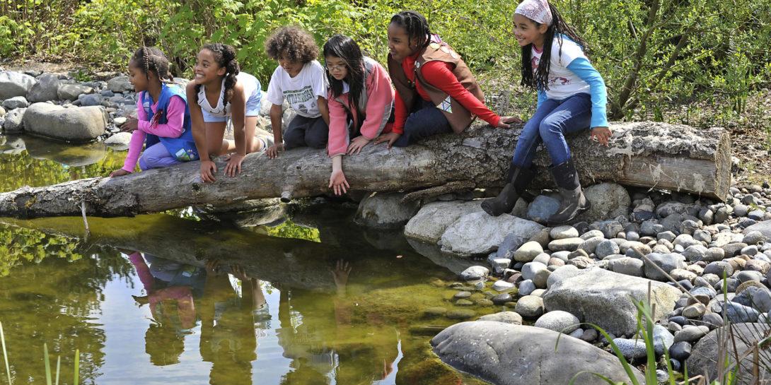 Co-Create to Recreate at the Tacoma Nature Center | Seattle Area Family ...