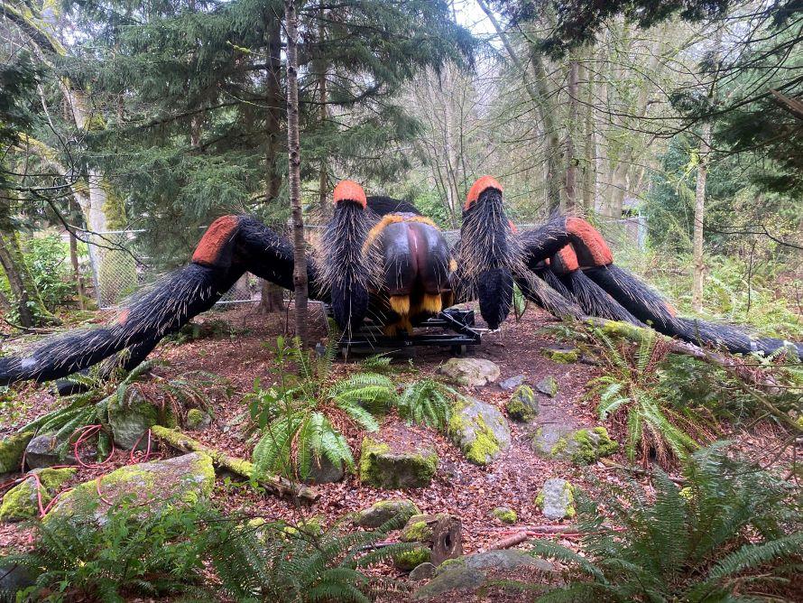 A Bug’s Eye View at Woodland Park Zoo | Seattle Area Family Fun ...