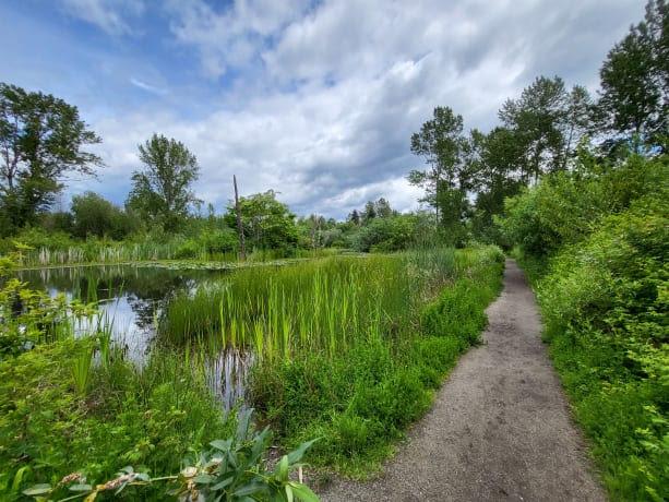 Beaver Walk | Seattle Area Family Fun Calendar | ParentMap